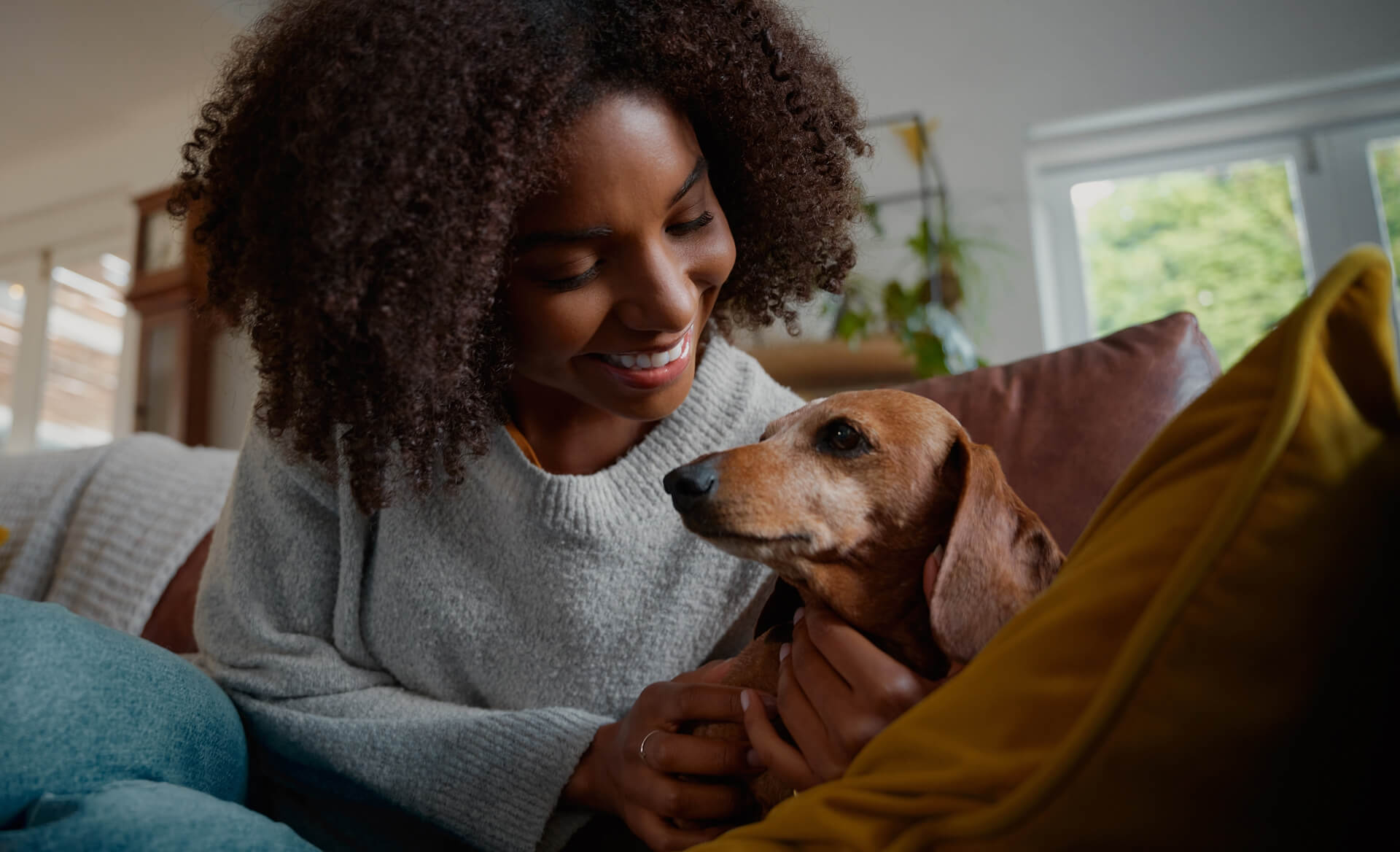 Cature - Premium Pet Brand